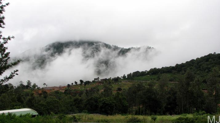 Yercaud - Tamil Nadu