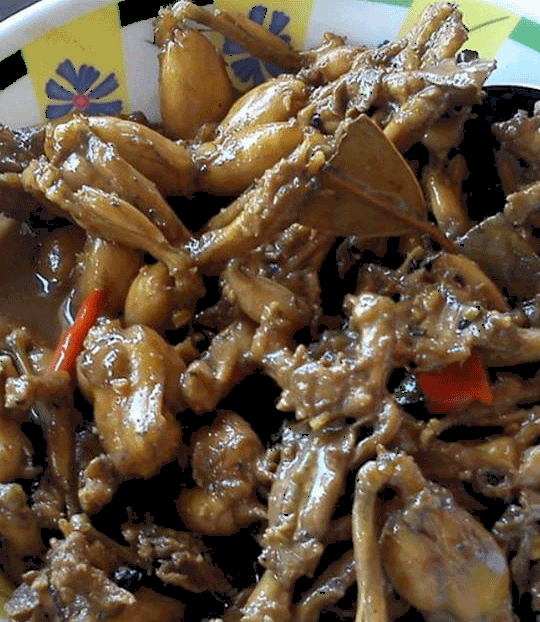 MY KITCHEN'S RECIPES and Travel Journal: Exotic Food