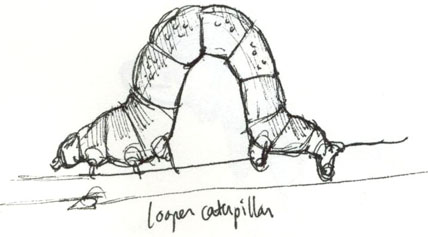 Art by Jeane Nevarez: May 2012