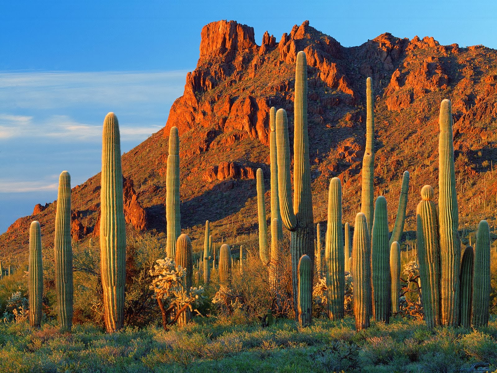 1001Best Galleries: Arizona Beautiful Nature Slideshow