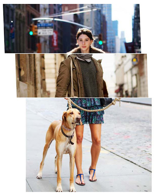 a weblog in the life of a welsh monkey