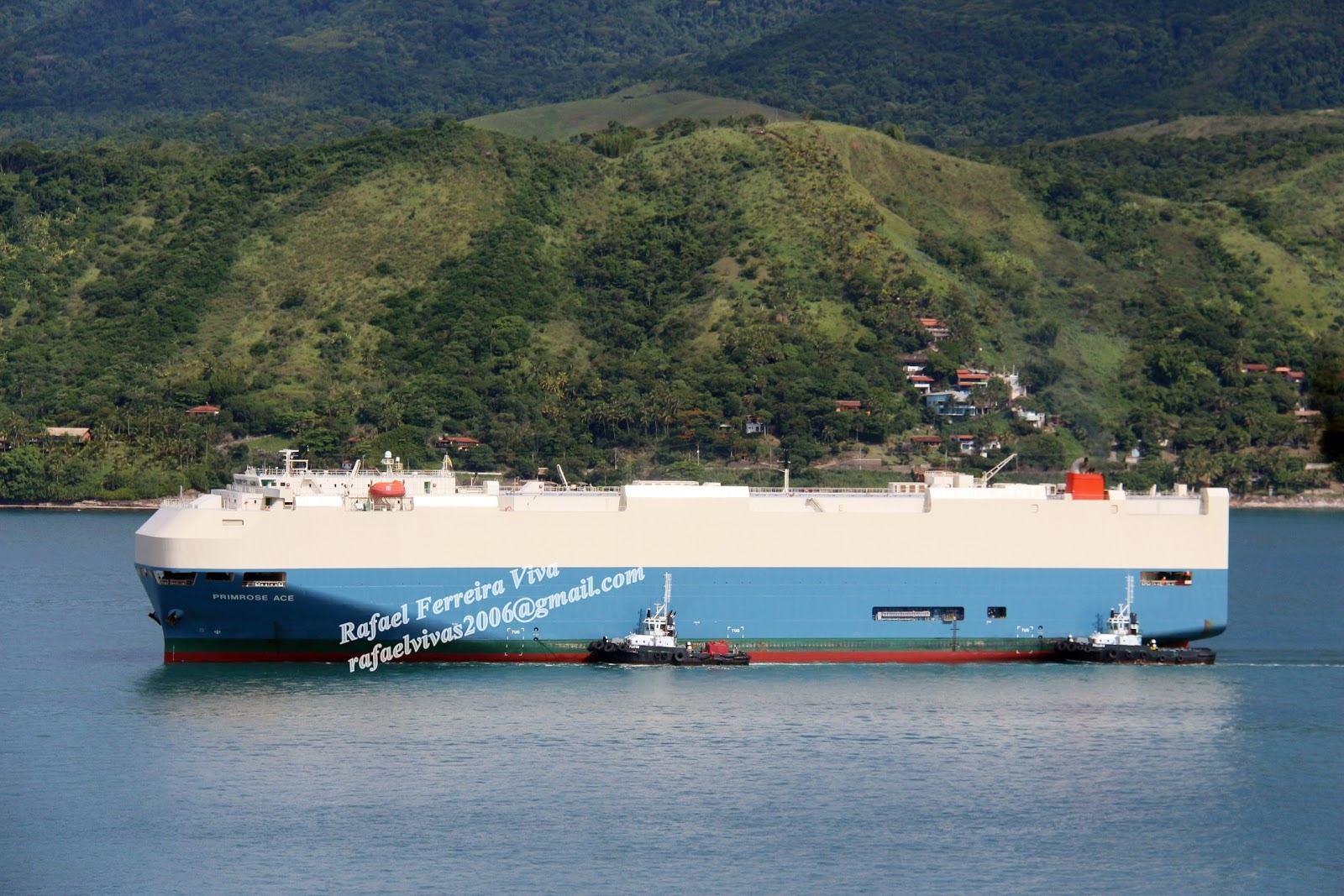 Navios em Santos: Primrose Ace