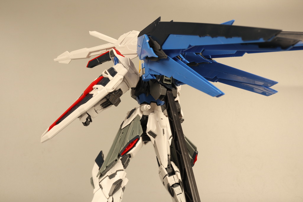 nu Type: Daban Model 6650 Freedom ver.2.0 (review)