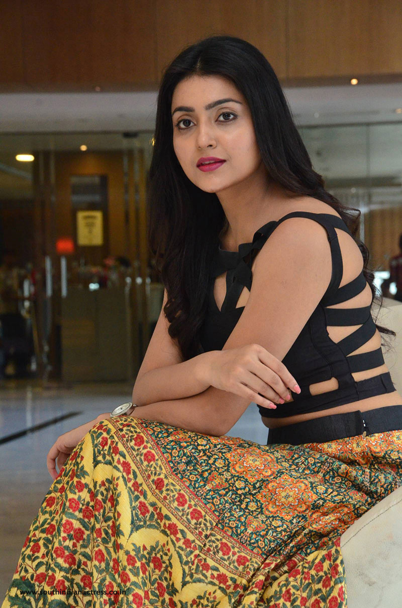 Avantika Mishra latest photo shoot stills - South Indian Actress