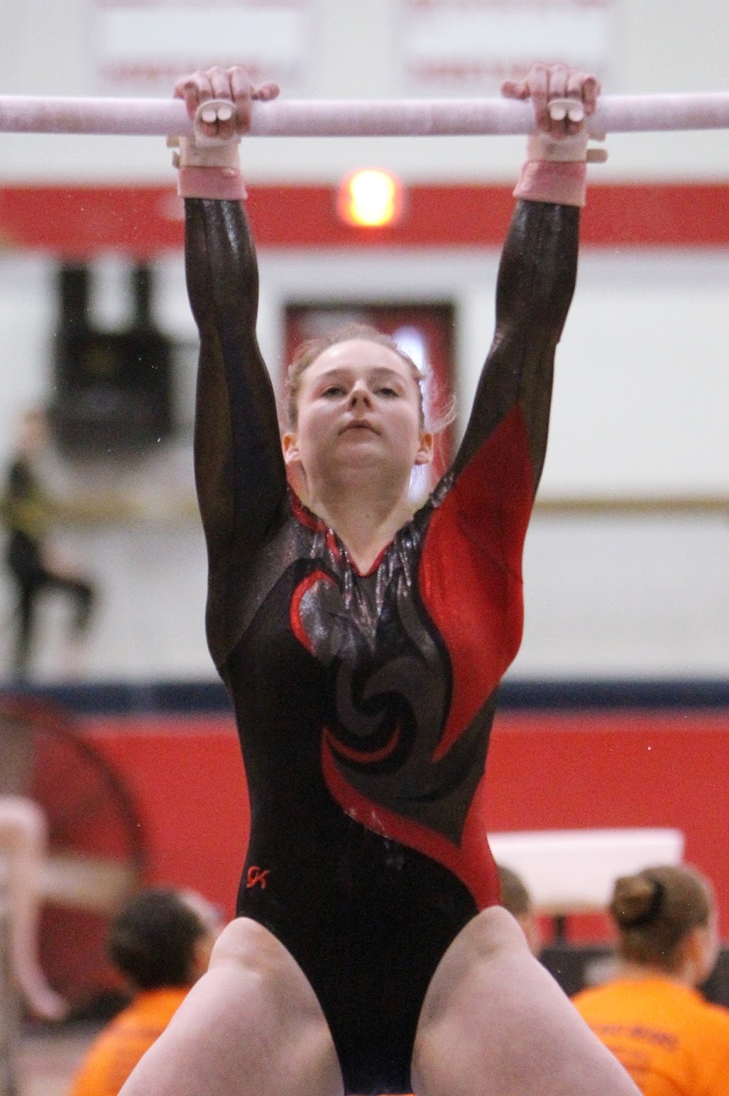 Mark Kodiak Ukena: IHSA Varsity Girls Gymnastics Lake County Invitational