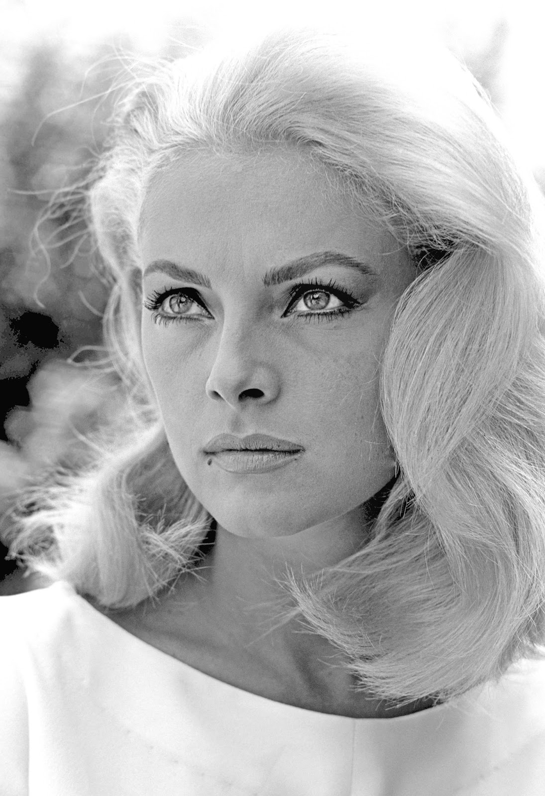 Slice of Cheesecake: Virna Lisi, pictorial