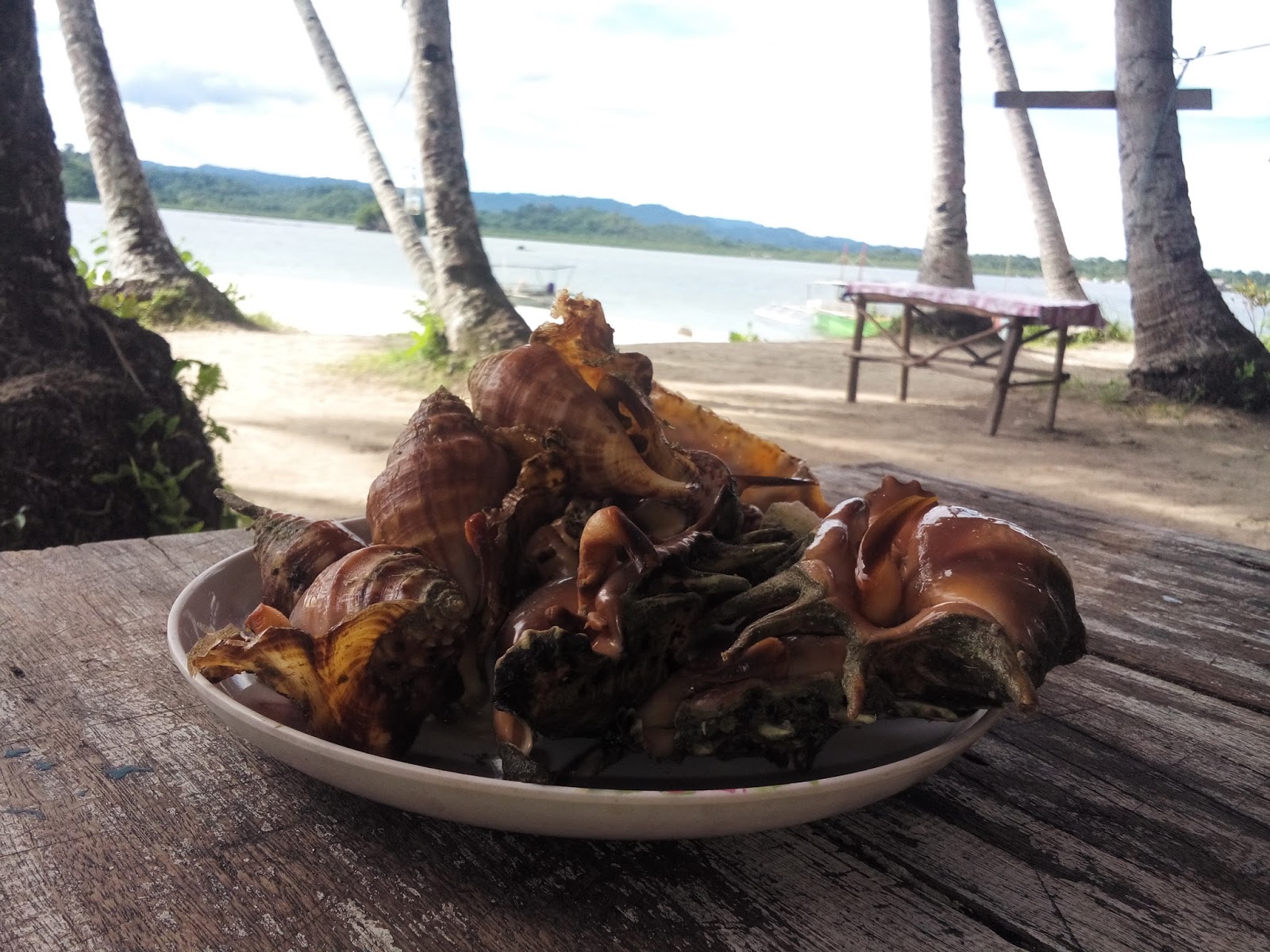 Mi Amor, Surigao del Sur