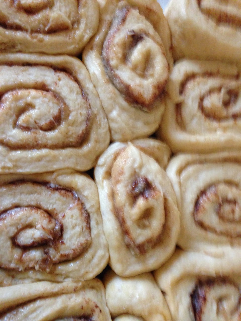 At Harvest Moon Farm: "Cinnabon" clone Cinnamon Rolls