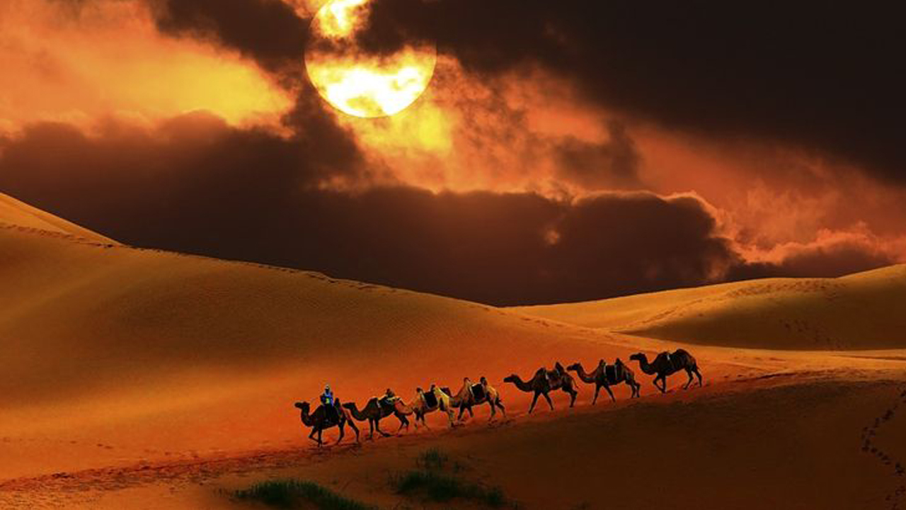 Top 5 Sa mạc lớn nhất trên Thế giới? Sahara hay sa mạc Gobi? - VN Tổng Hợp