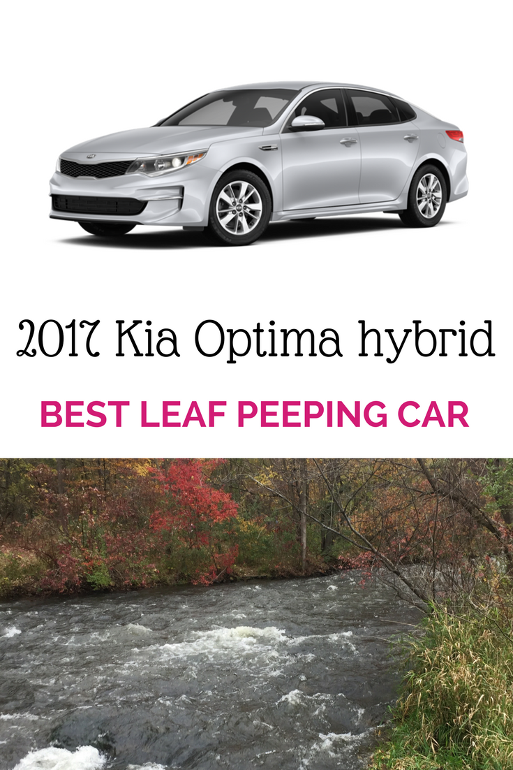 WheelsandEats: Drive a Kia, Avoid the Rat Race