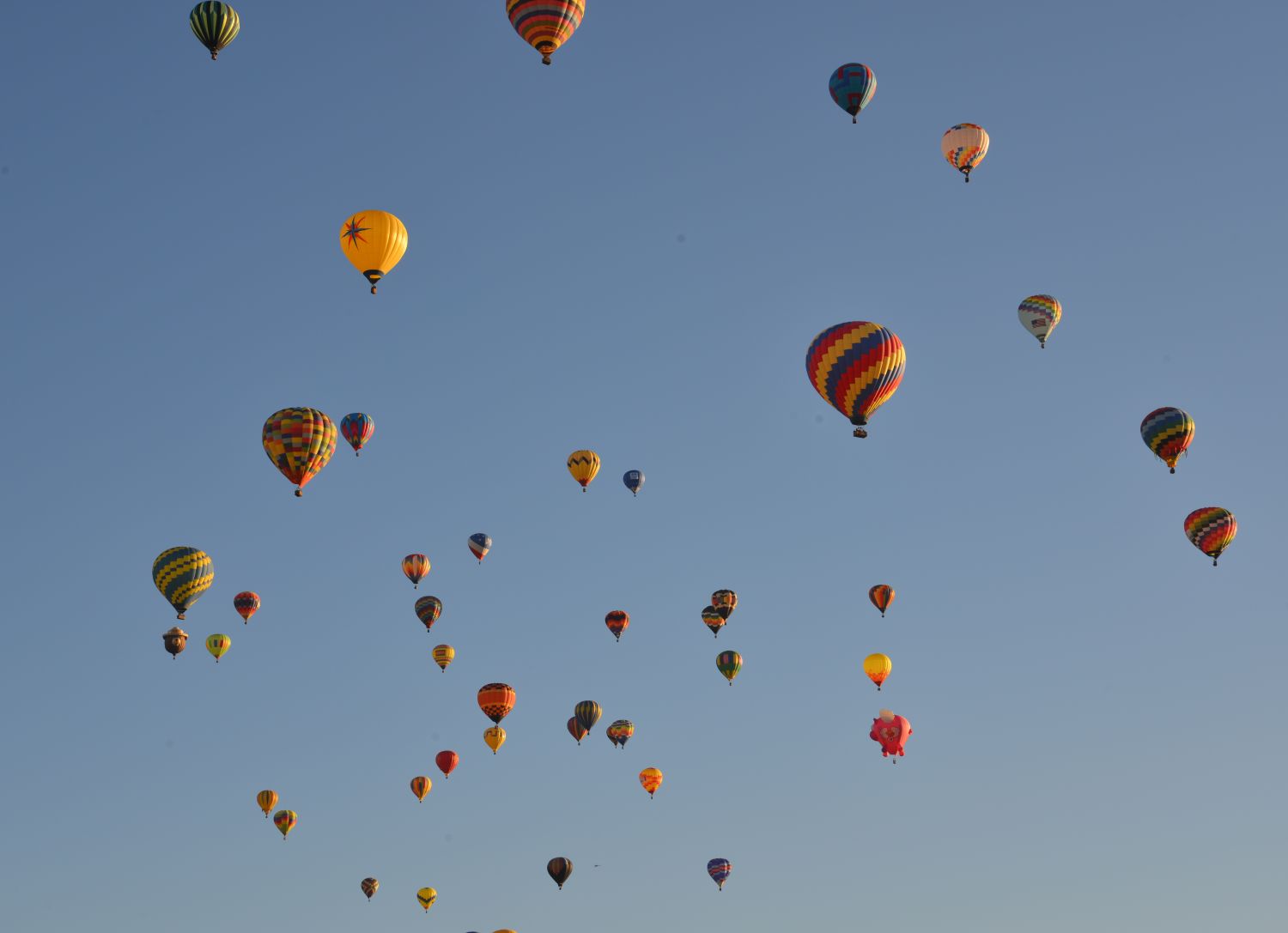 A school of fish: Albuquerque Balloon Fiesta