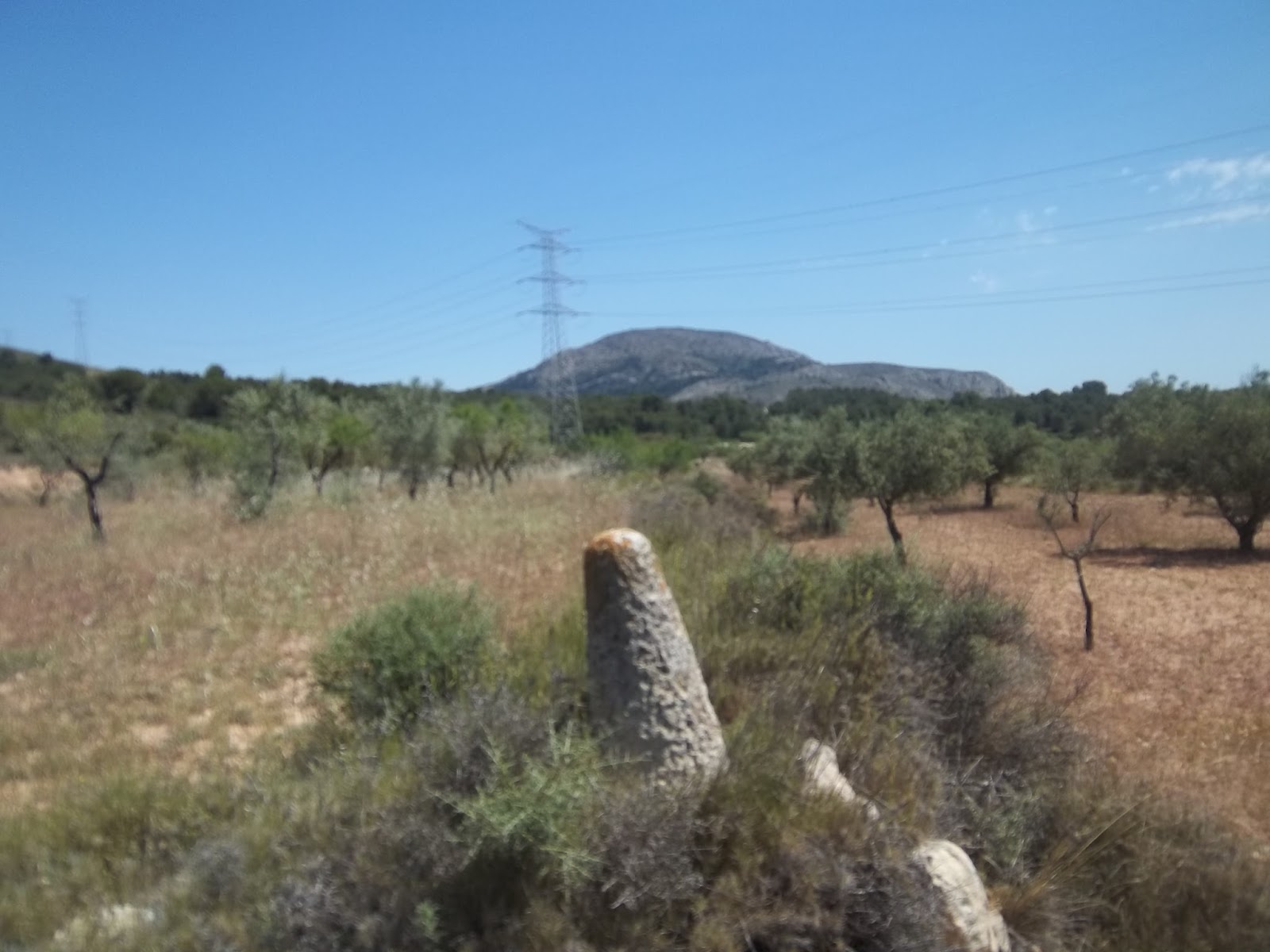 UN PASSEIG PELS MONTES DE BIAR: Los mojones en los lindes de los montes
