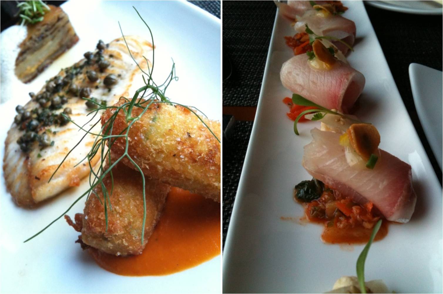 Takashi & Upcoming Slurping Turtle