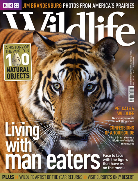 Cover Monkey: BBC Wildlife Tiger Cover