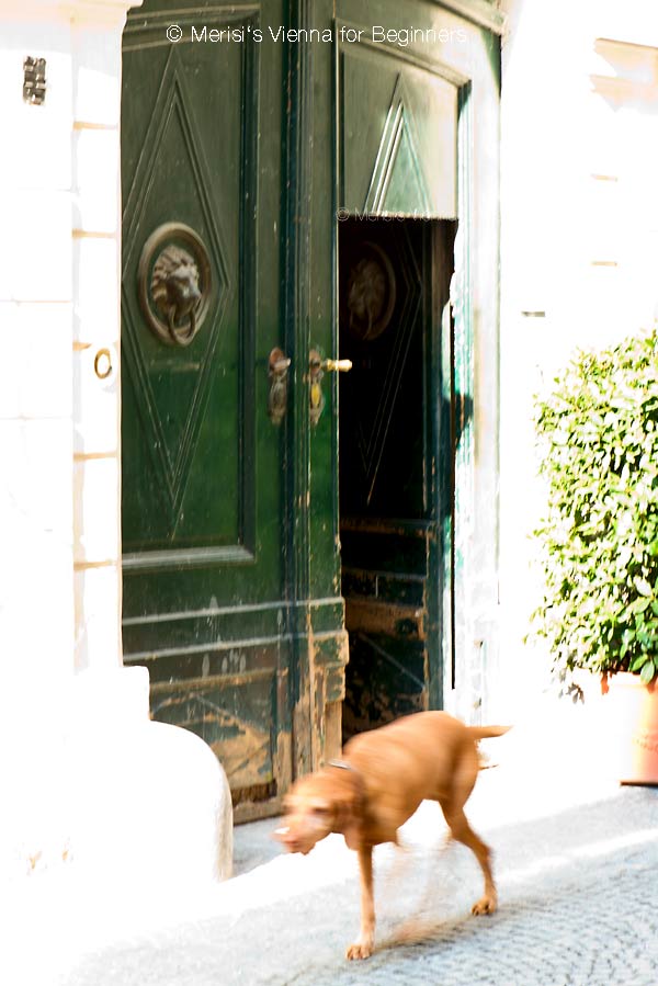 Merisi's Vienna for Beginners: Viennese Dogs and ...