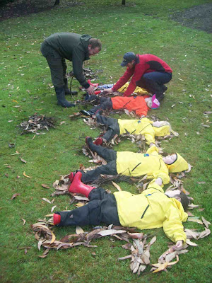 Fiordland Kindergarten Nature Discovery: Making Leaf Dolls