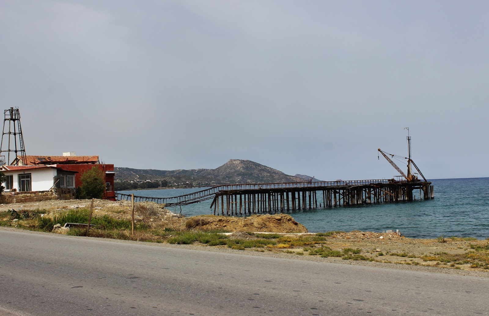 Biodiversity of Cyprus by NGO Protection of the Natural Heritage and ...