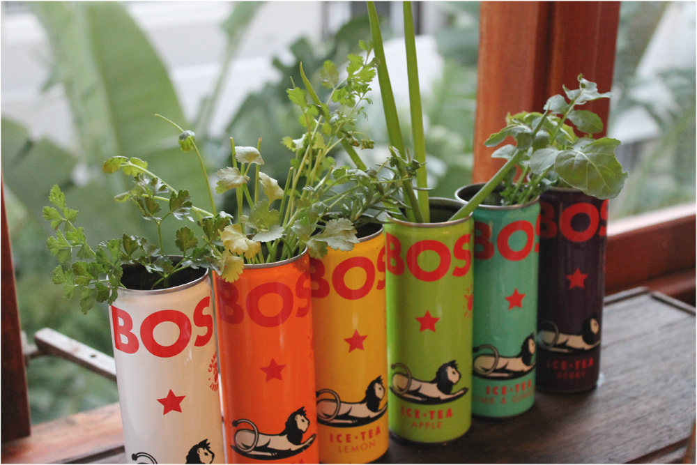 Ecopol Project - Portland State University: UPCYCLE DIY: CANS AS PLANTERS