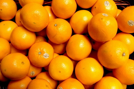goodindiancooking: Fun facts about Florida oranges