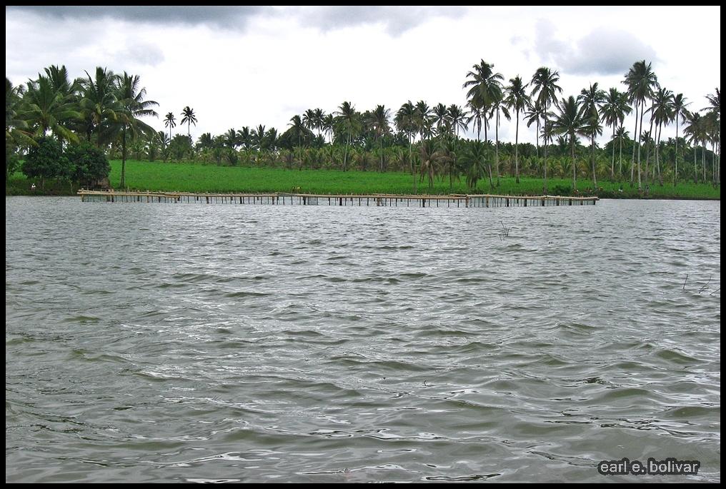 Bukidnon Photo Journal: Manlamonay Lake in Don Carlos, Bukidnon