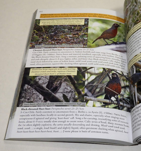 Book Review - Birds of Chile, A Photo Guide - Princeton University ...