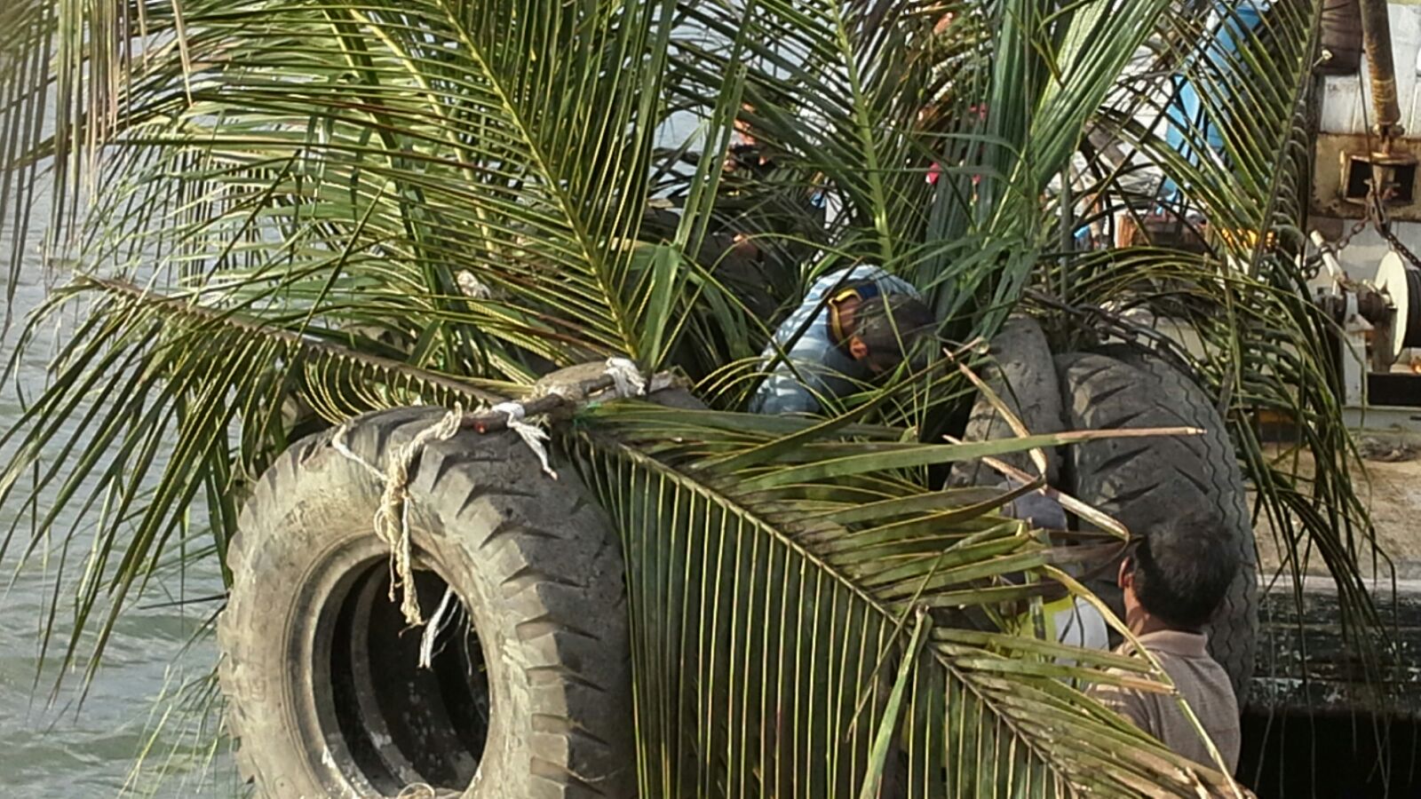Rumpon Perusak Ekologi Laut