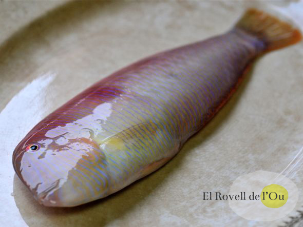 El Rovell de l'Ou: El Raor, pescado de pobre, pescado de rico.