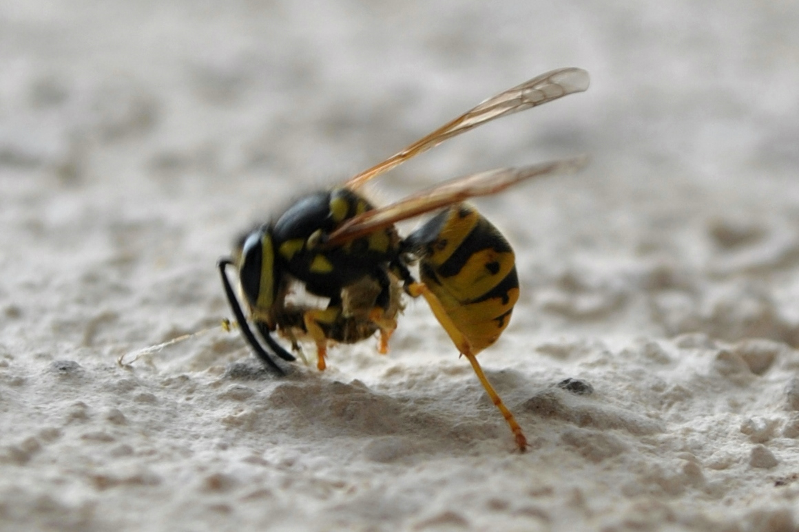 Malkinphoto: Krakow, Poland