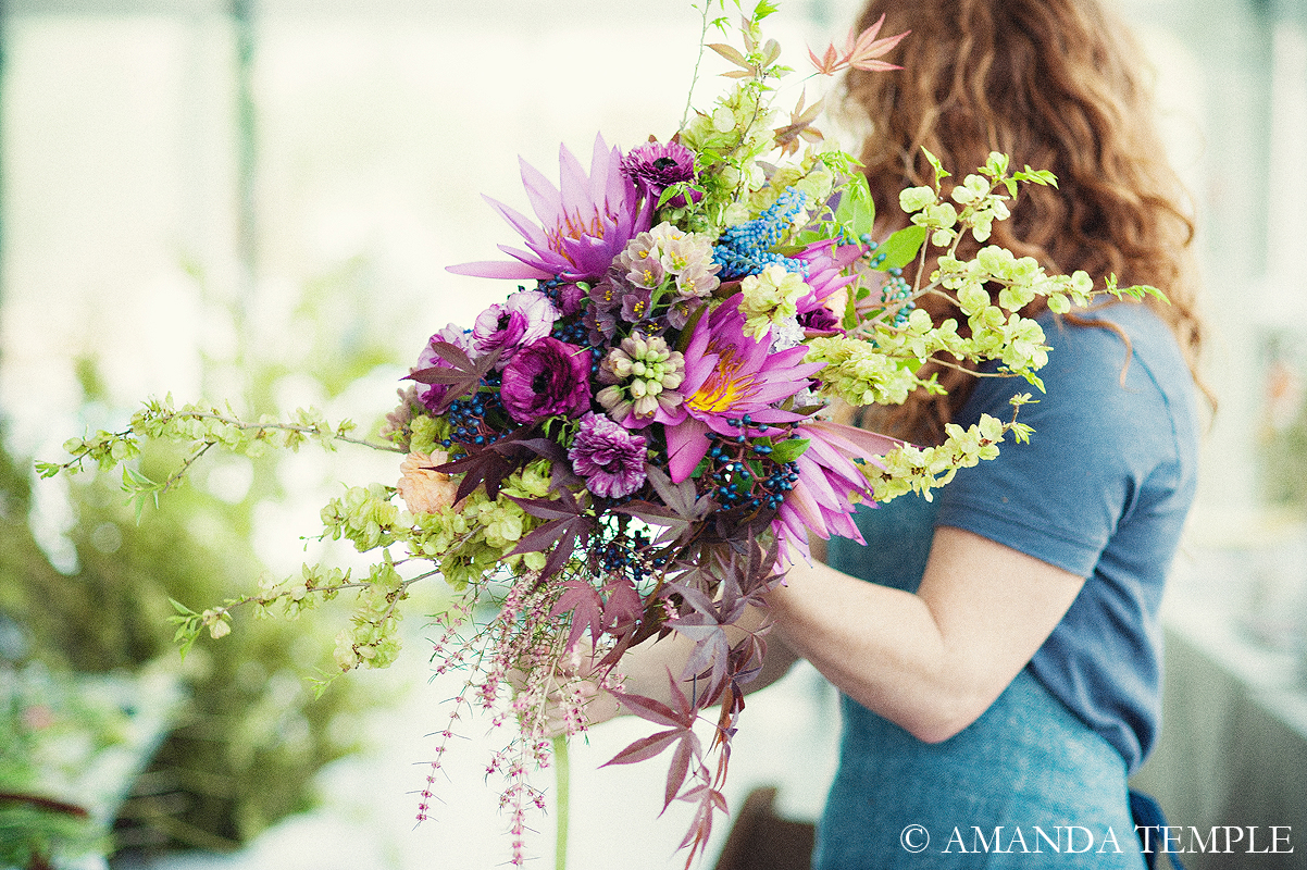 Petals - Bermuda Florist: The Agony and The Ecstasy