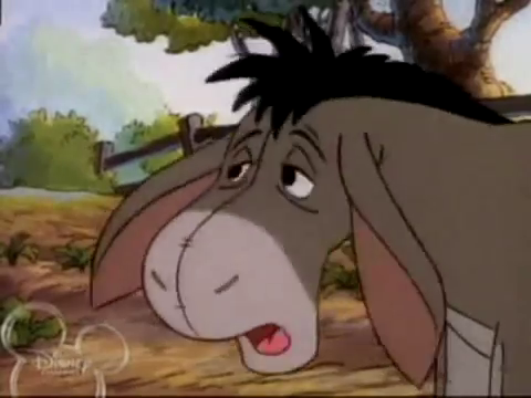 The New Adventures of Winnie The Pooh: Eeyi Eeyi Eeyore Part 1