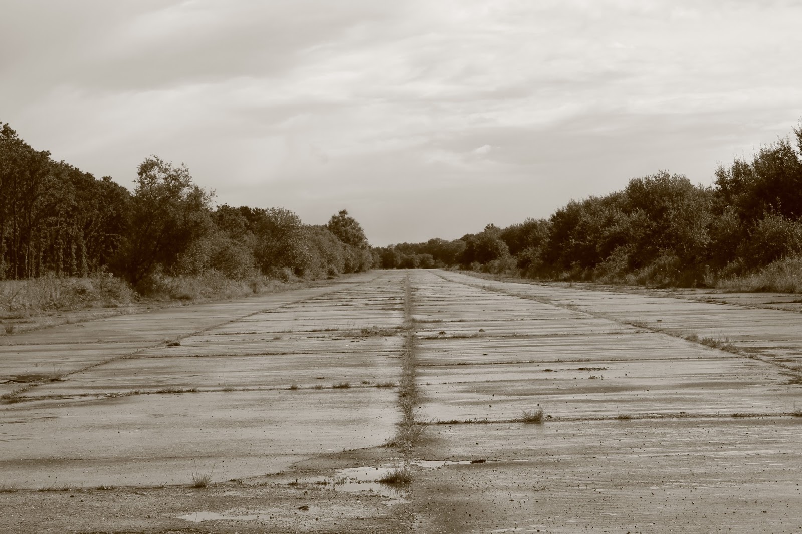 RAF Lincolnshire: RAF North Witham - D-Day and a brief History.
