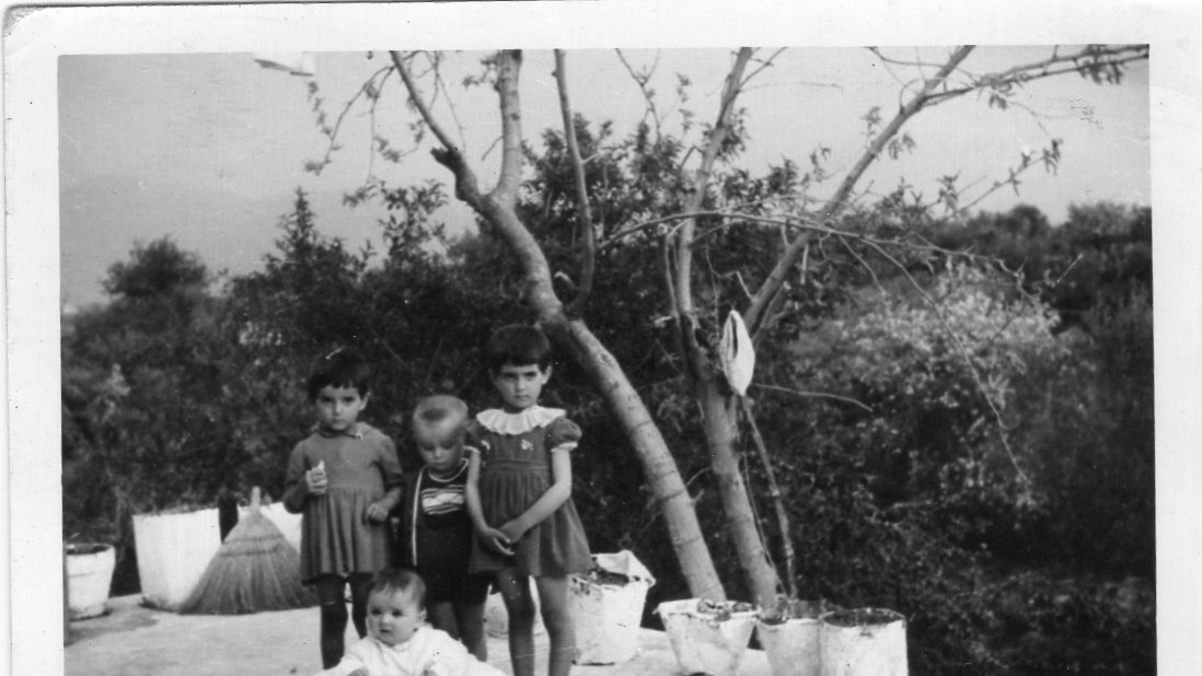 ΓΙΑΝΝΗΣ Ε.ΛΙΝΑΡΔΟΣ: ΤΟ ΓΕΝΝΕΑΛΟΓΙΚΟ ΜΟΥ ΔΕΝΔΡΟ