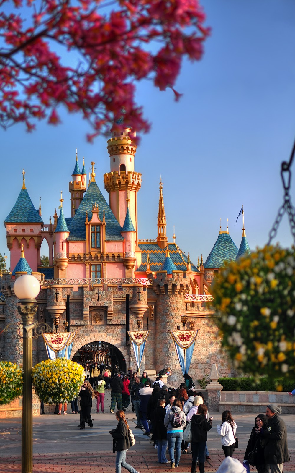 A Magical Disney Morning