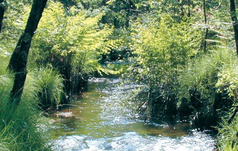 Maison Le Barp (Gironde): Présentation du Barp