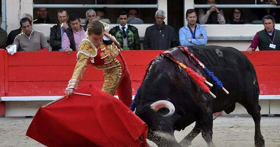 A LOS TOROS: JAVIER CORTÉS, torero de Madrid representado por MANOLO ...