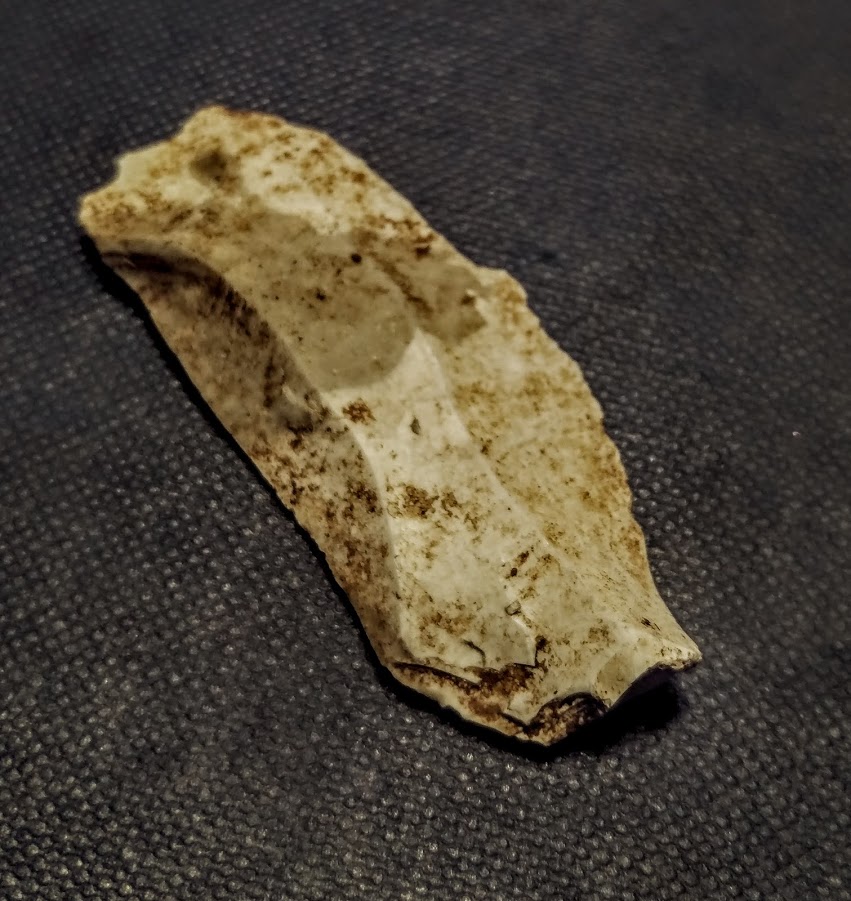 www.Sarsen.org: Early Flint Blade Spotted on Stonehenge Down