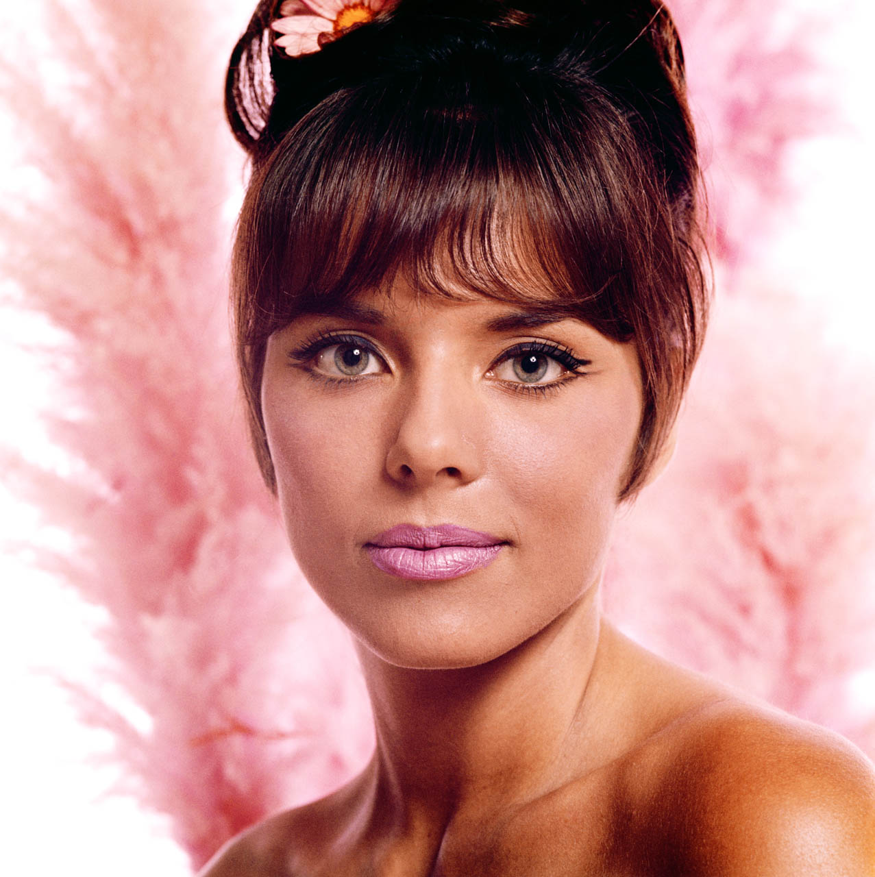 CELEBRITY MODELS NUDE: Jo Collins