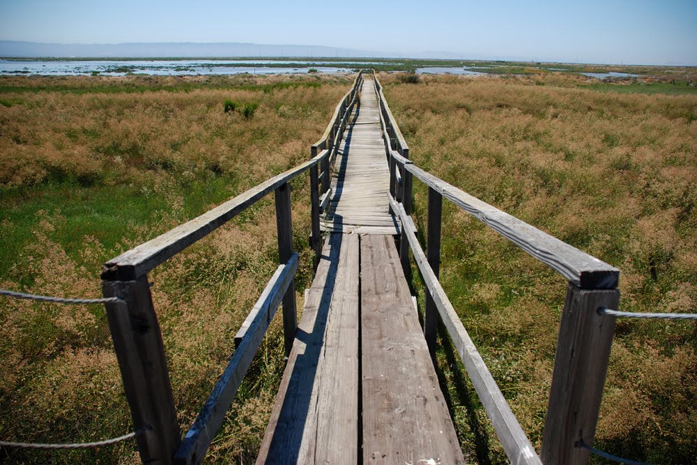 Nathan Kensinger Photography: Drawbridge, California