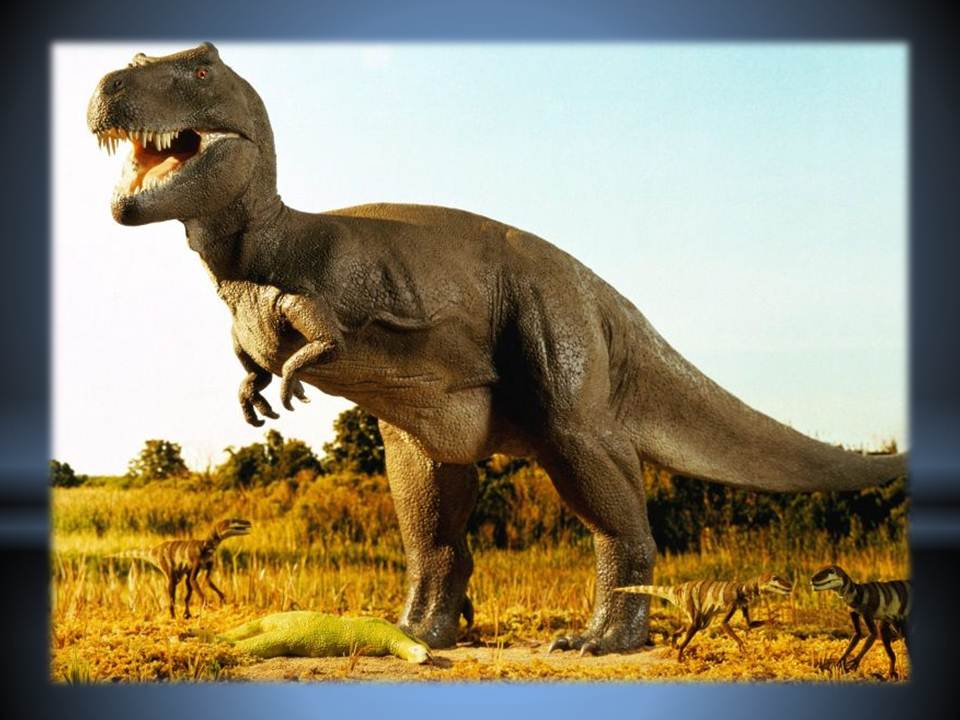 La Prehistoria en el Ecuador: La Prehistoria y sus animales