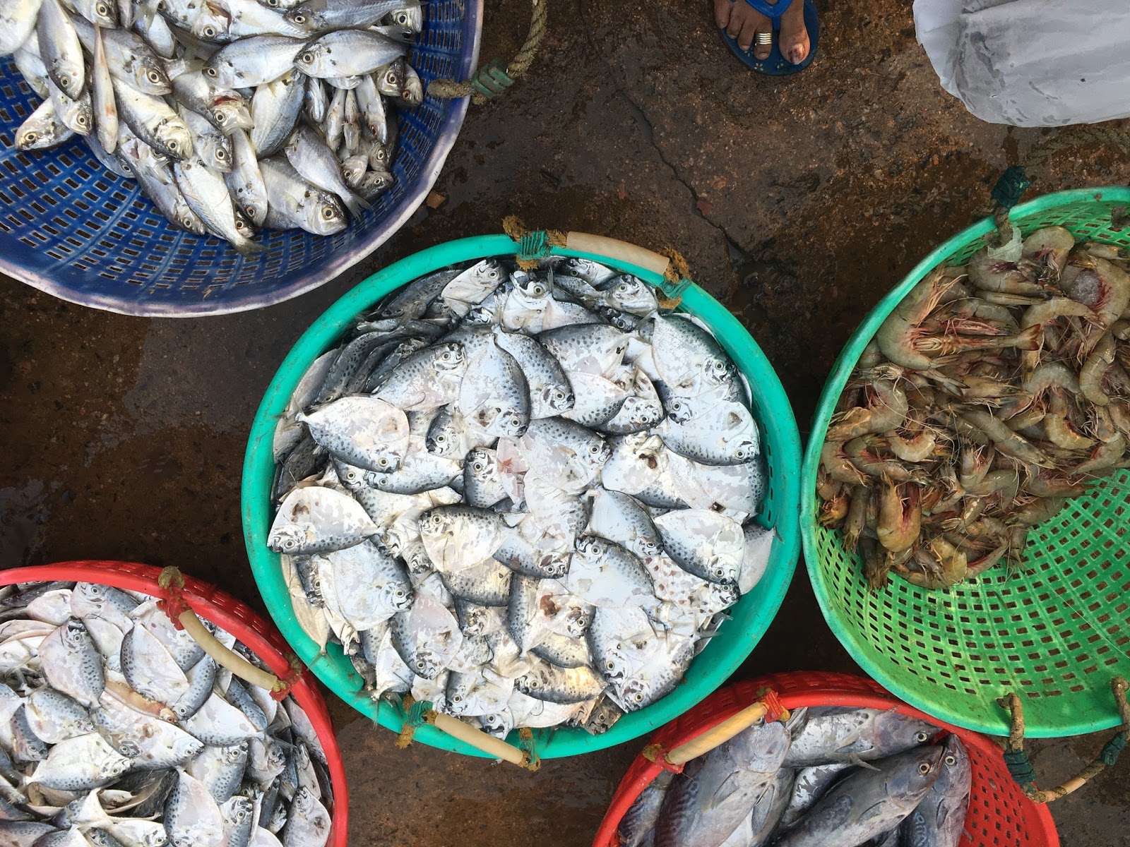 Words and Expressions: Dhakke - Mangalore's Fishing Dock