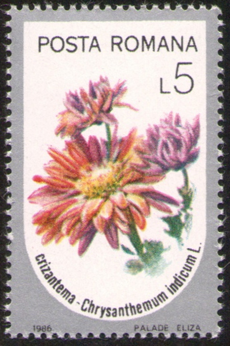 Timbre filatelice: Timbre filatelice cu flori din Romania