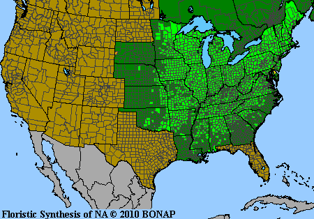 Restoring The Landscape With Native Plants: Native Plant of the Week ...
