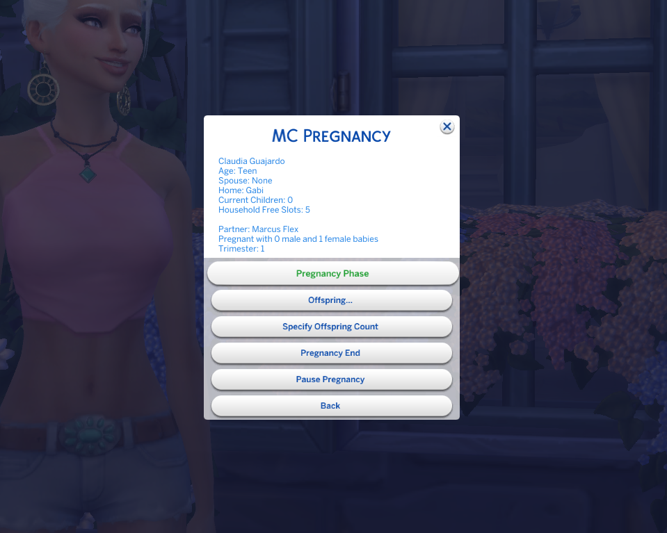 Sims 4 mc command center mod. - coppermasop