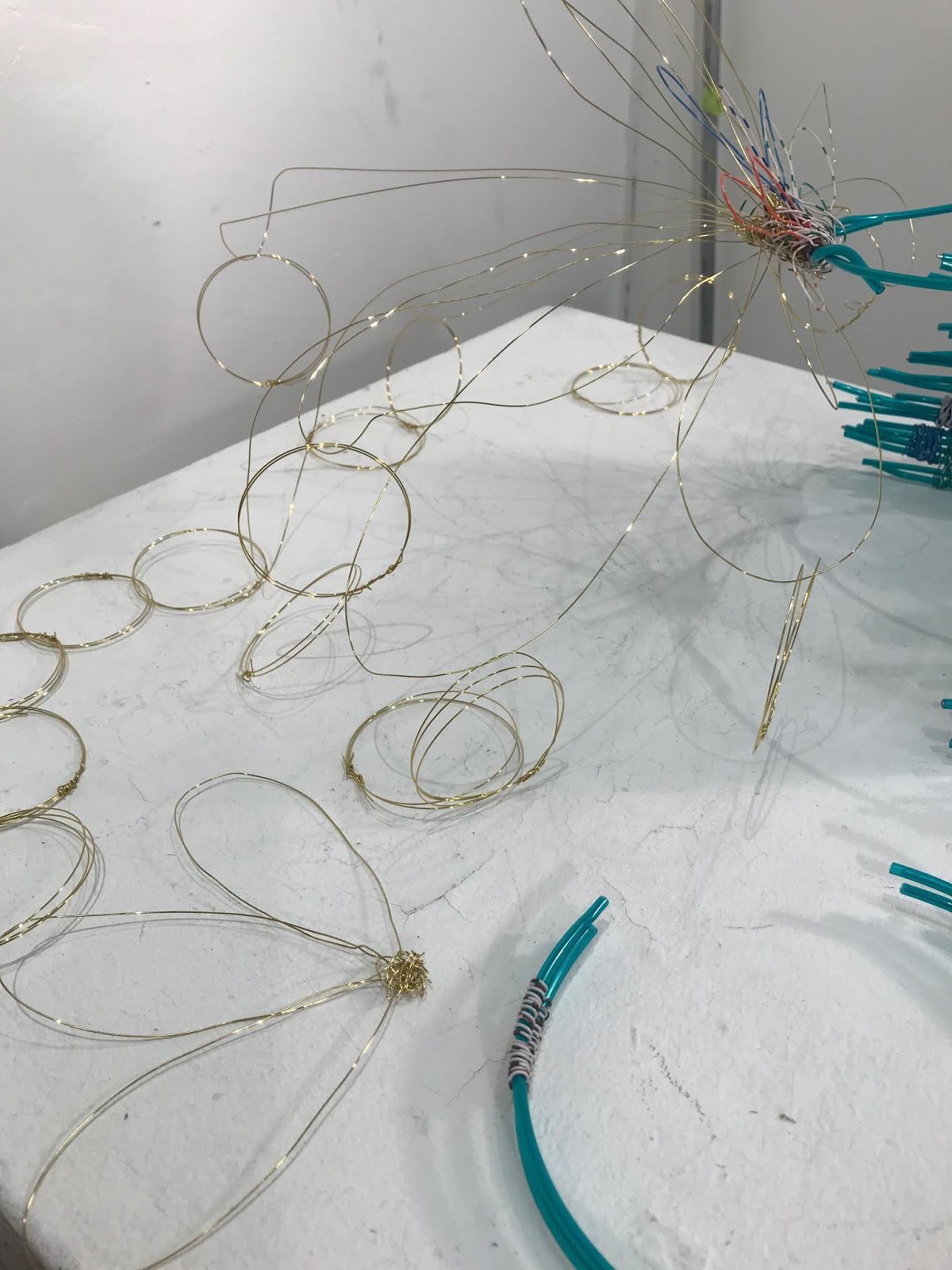Hung's Foundation Experiences : Bio-Mimicry: Crown-Mask