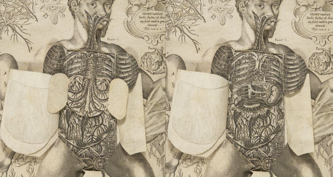 Digitalizan un libro desplegable del siglo XVII