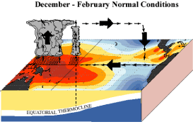 Memahami Fenomena ENSO, El Nino dan La Nina serta Pengaruhnya Terhadap ...