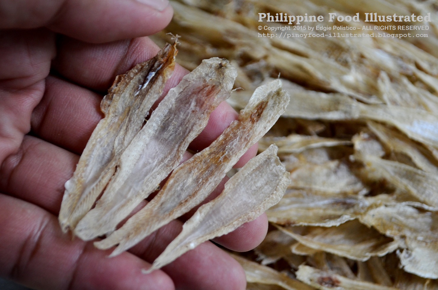 Philippine Food Illustrated: sea fish