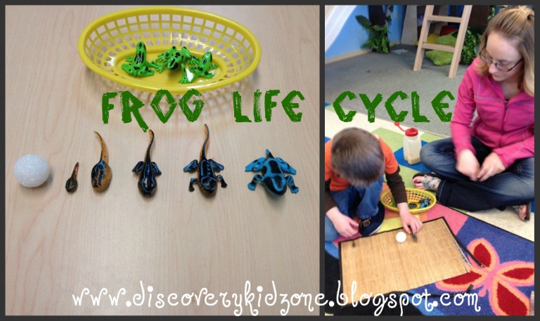 Discovery Kidzone Montessori Adventures: Weekly Kid's Co-op! Frogs ...
