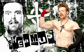 WWE CHAMPS: 'THE CELTIC WARRIOR' SHEAMUS