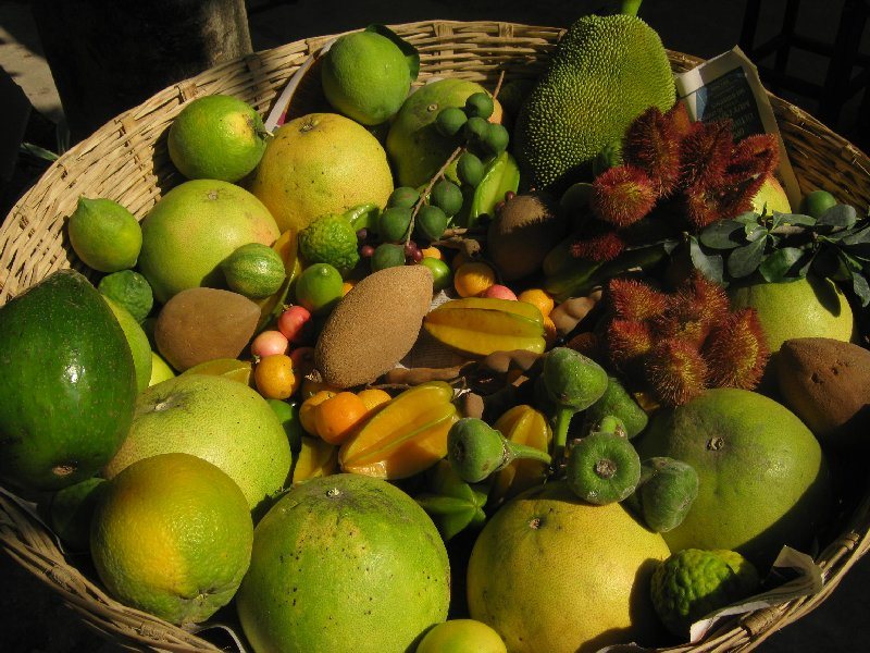 El cuexcomate: Salida de campo 2011: el fruto milagroso